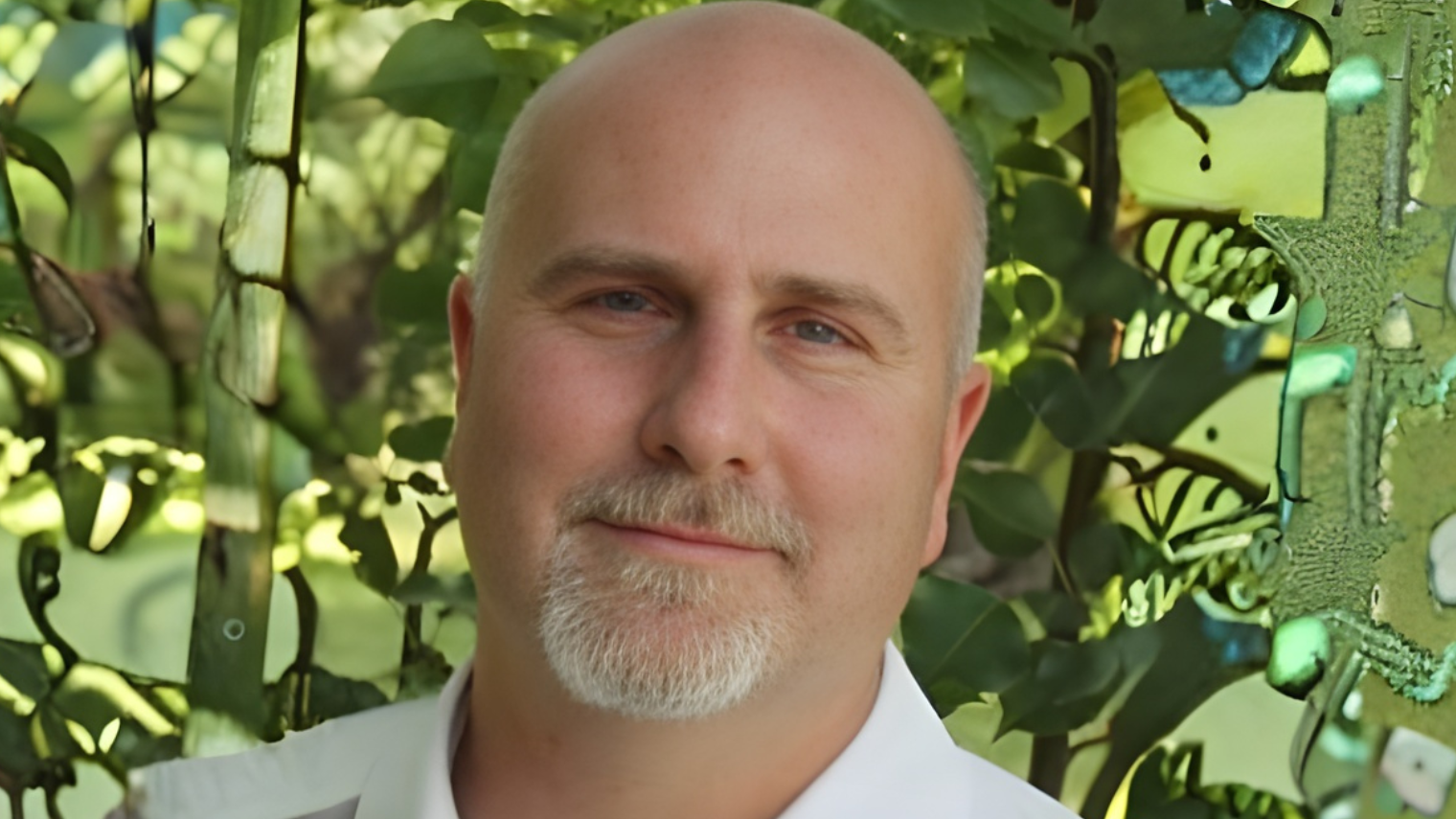 From the Pulpit: Being thankful is a healthy daily discipline - The Munising Beacon